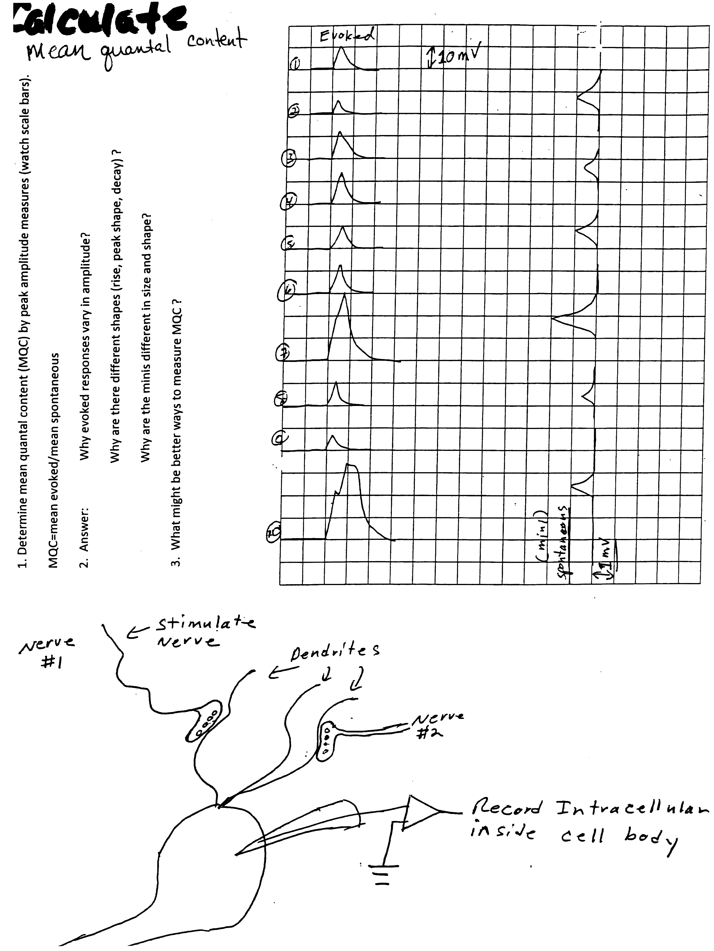 teachingbio350 FAll 2013.htm